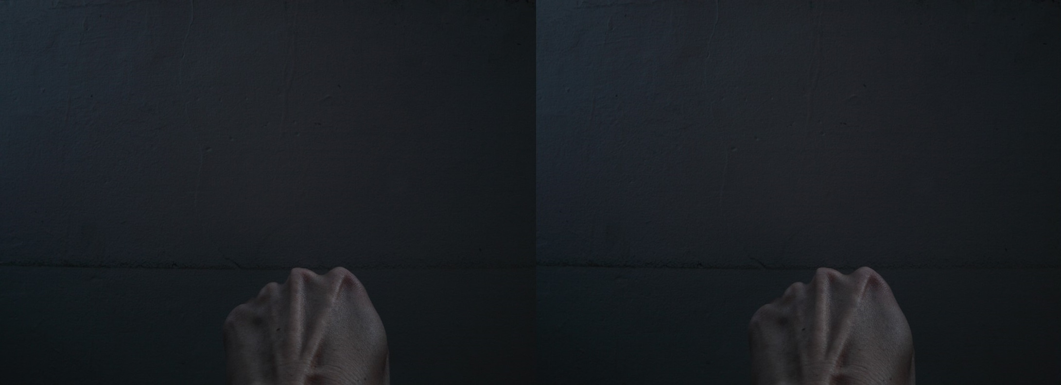 costanza de rogatis | ABRA