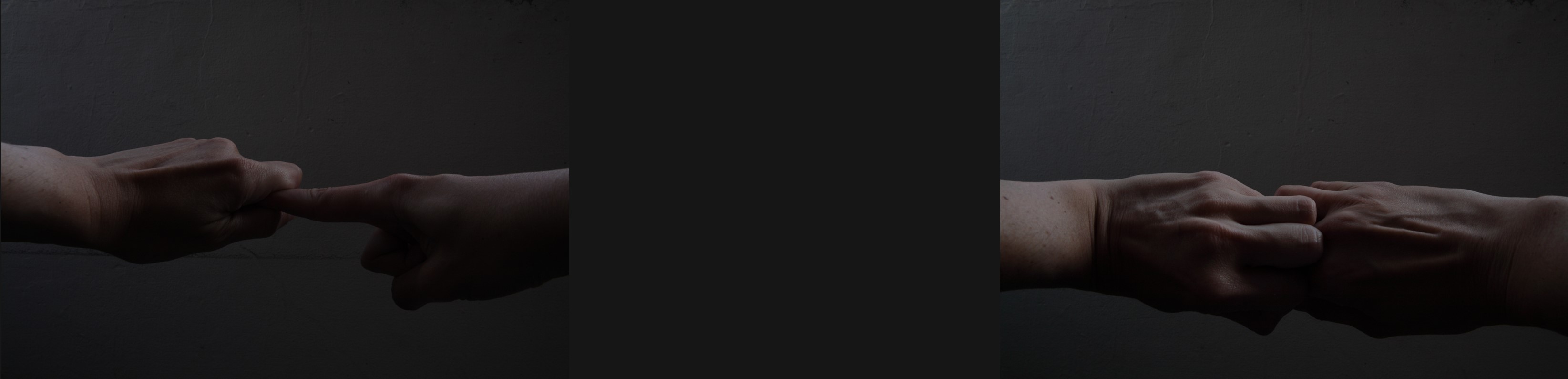 costanza de rogatis | ABRA