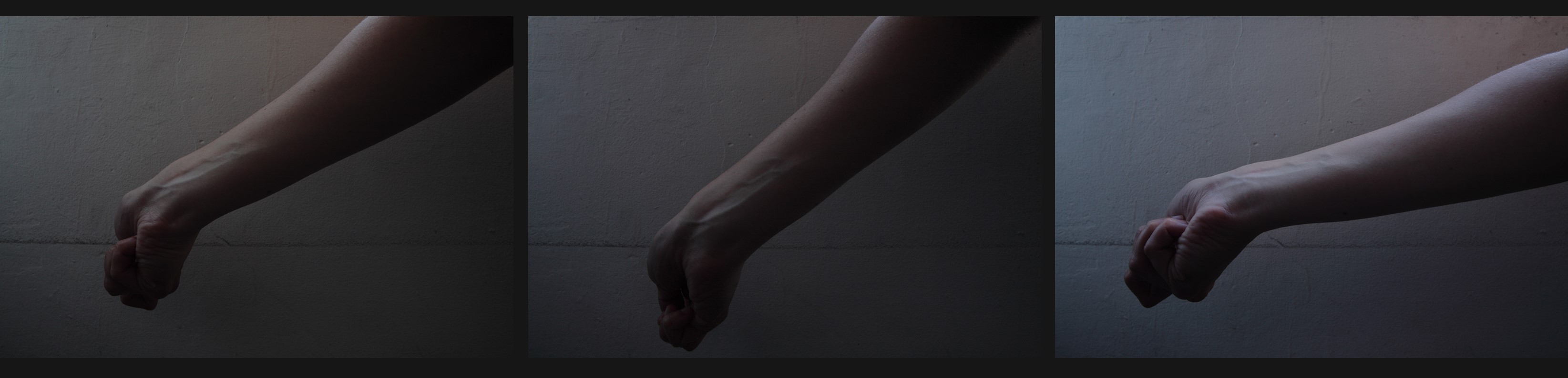 costanza de rogatis | ABRA