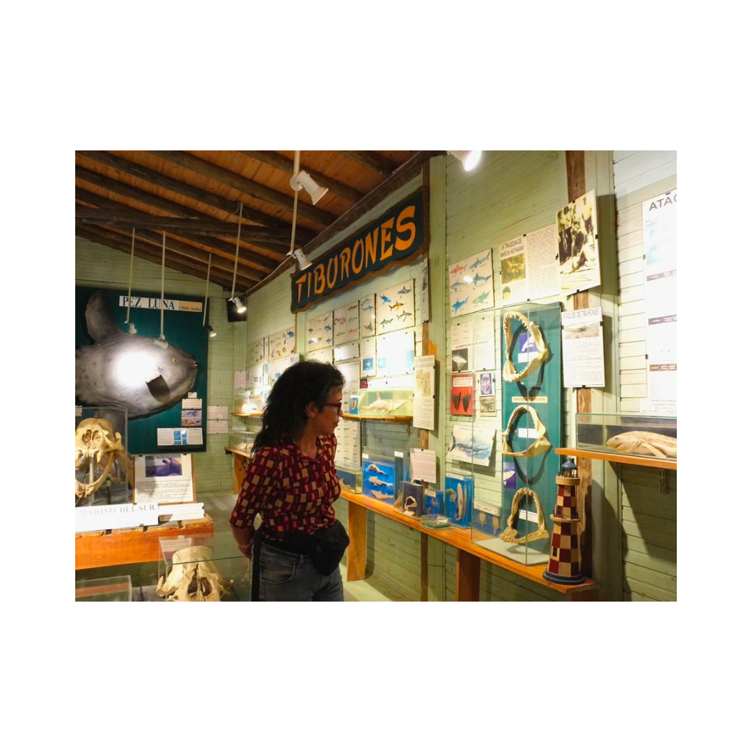 FAARA 2024 | DULCE GÓMEZ | ABRA